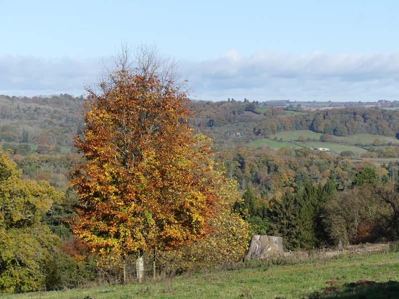 Alfrick & Lulsley Village Hall | Village Hall for Hire in Worcestershire